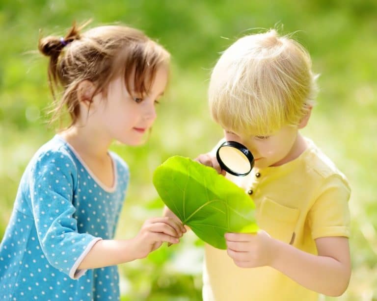Biomime » Biomimicry School for Kids