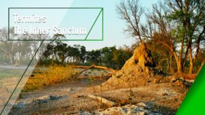 Biomimicry for Kids » Biomime
